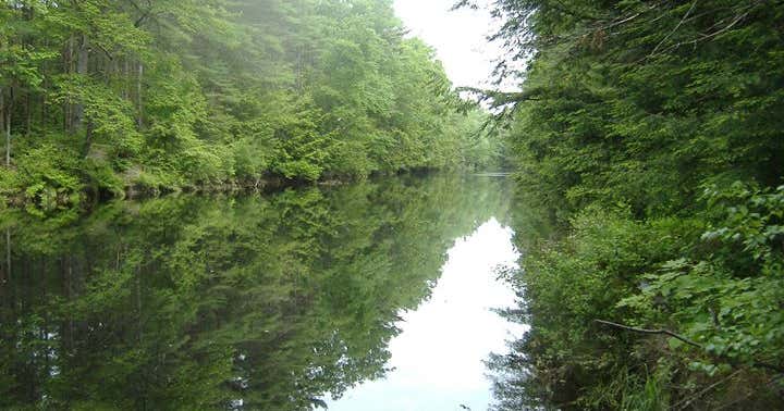 Wm Gonic Trails, Rochester | Roadtrippers