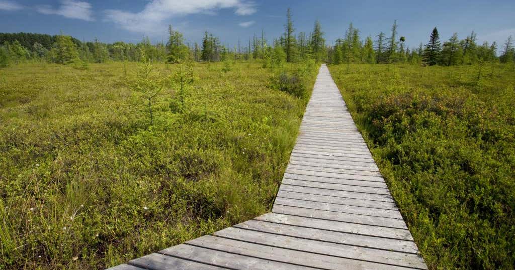 Mer Bleue Conservation Area, Ontario | Roadtrippers