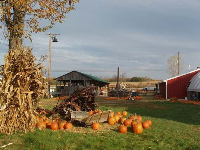 Photo of Indian Brook Farms | Roadtrippers