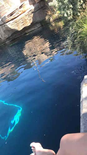 Photo of Blue Hole of Santa Rosa | Roadtrippers