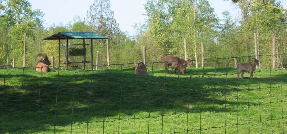Edmonton Valley Zoo, Alberta | Roadtrippers