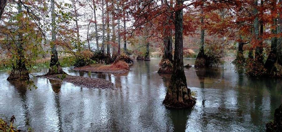 Ghost River, Moscow | Roadtrippers